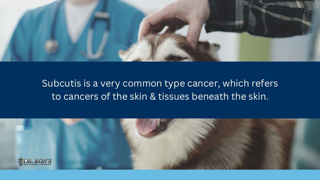 What are the Typical Causes of Benign Tumors in Dogs | PPT