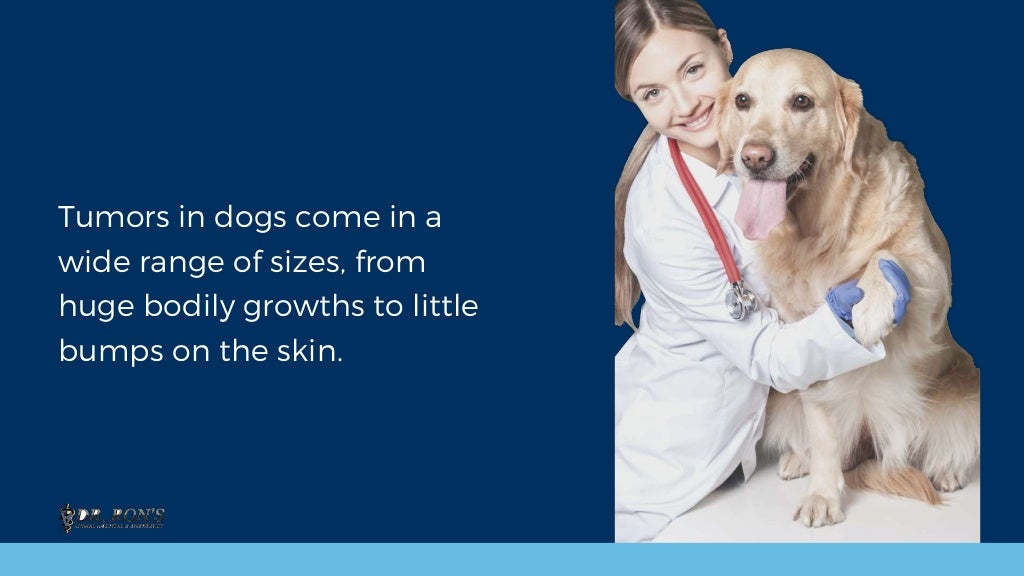 What are the Typical Causes of Benign Tumors in Dogs | PPT