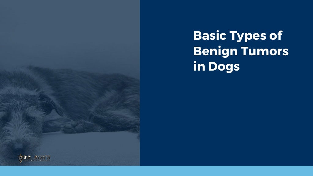 What are the Typical Causes of Benign Tumors in Dogs | PPT