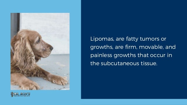 What are the Typical Causes of Benign Tumors in Dogs | PPT