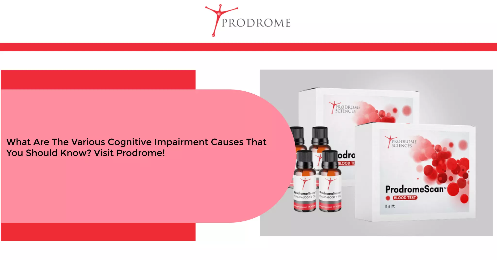 What Are The Various Cognitive Impairment Causes That You Should Know ...