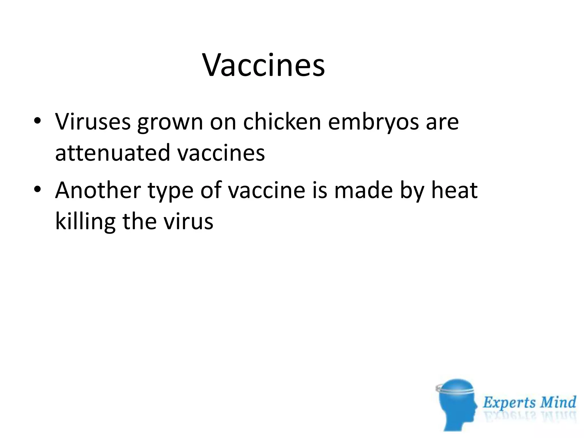 What are viruses | PPT