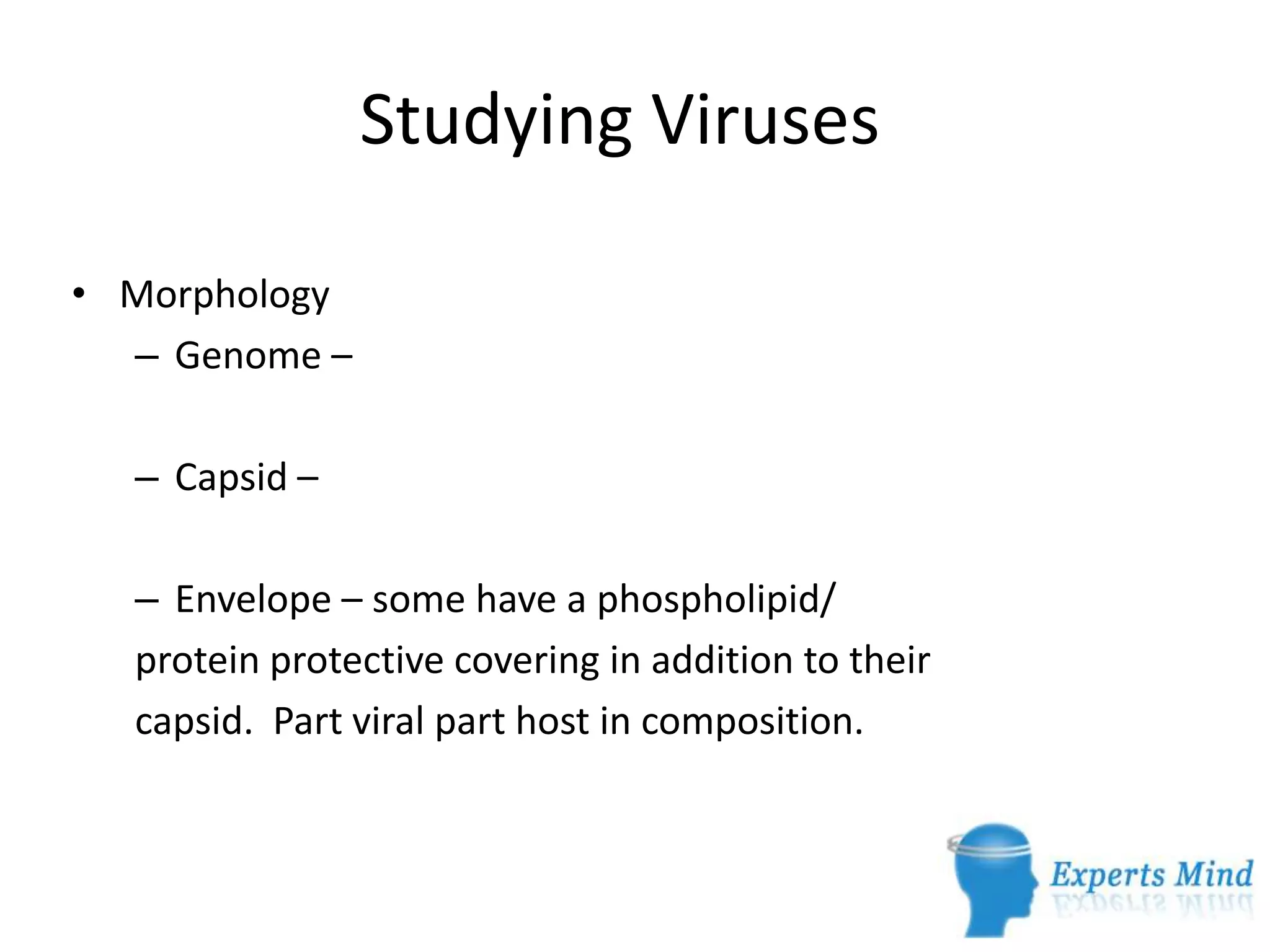What are viruses | PPT