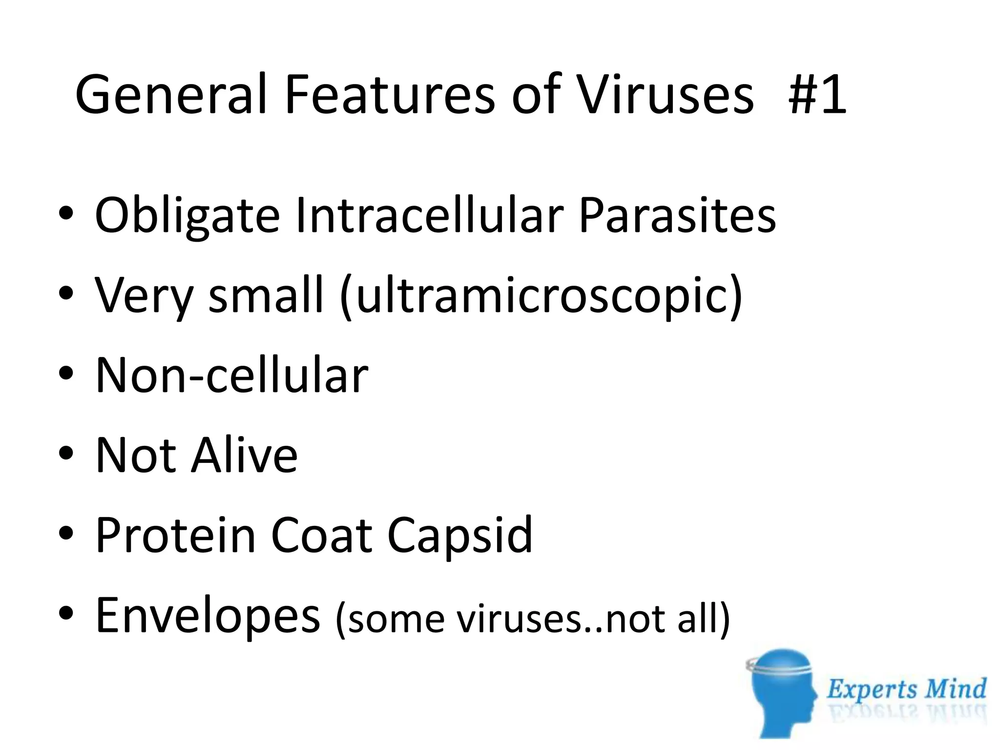 What are viruses | PPT