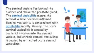 What Are Your Feelings After Getting Seminal Vesiculitis? | PPT