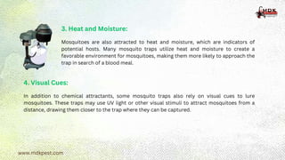 What Attracts Mosquitoes More To Traps? | PPT