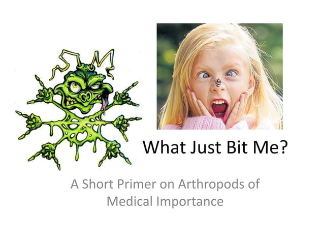 What bit me | PPT