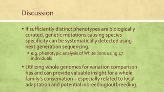 What can a tiger’s genome tell us about mammalian evolution? | PPTX ...
