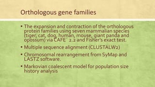 What can a tiger’s genome tell us about mammalian evolution? | PPTX ...