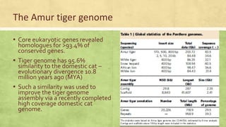 What can a tiger’s genome tell us about mammalian evolution? | PPT