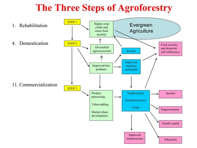 What can be achieved by Tree Domestication | PPT