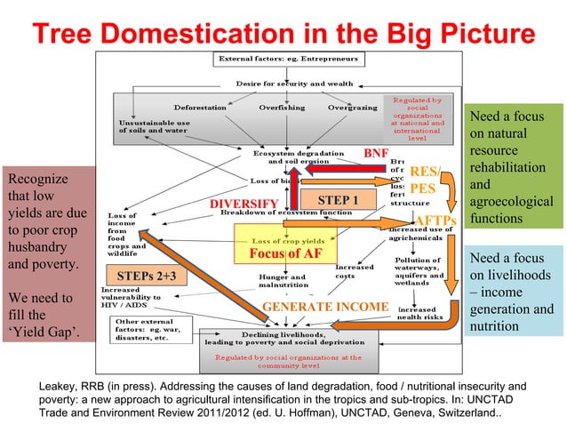 What can be achieved by Tree Domestication | PPT