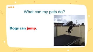 My pets | PPTX