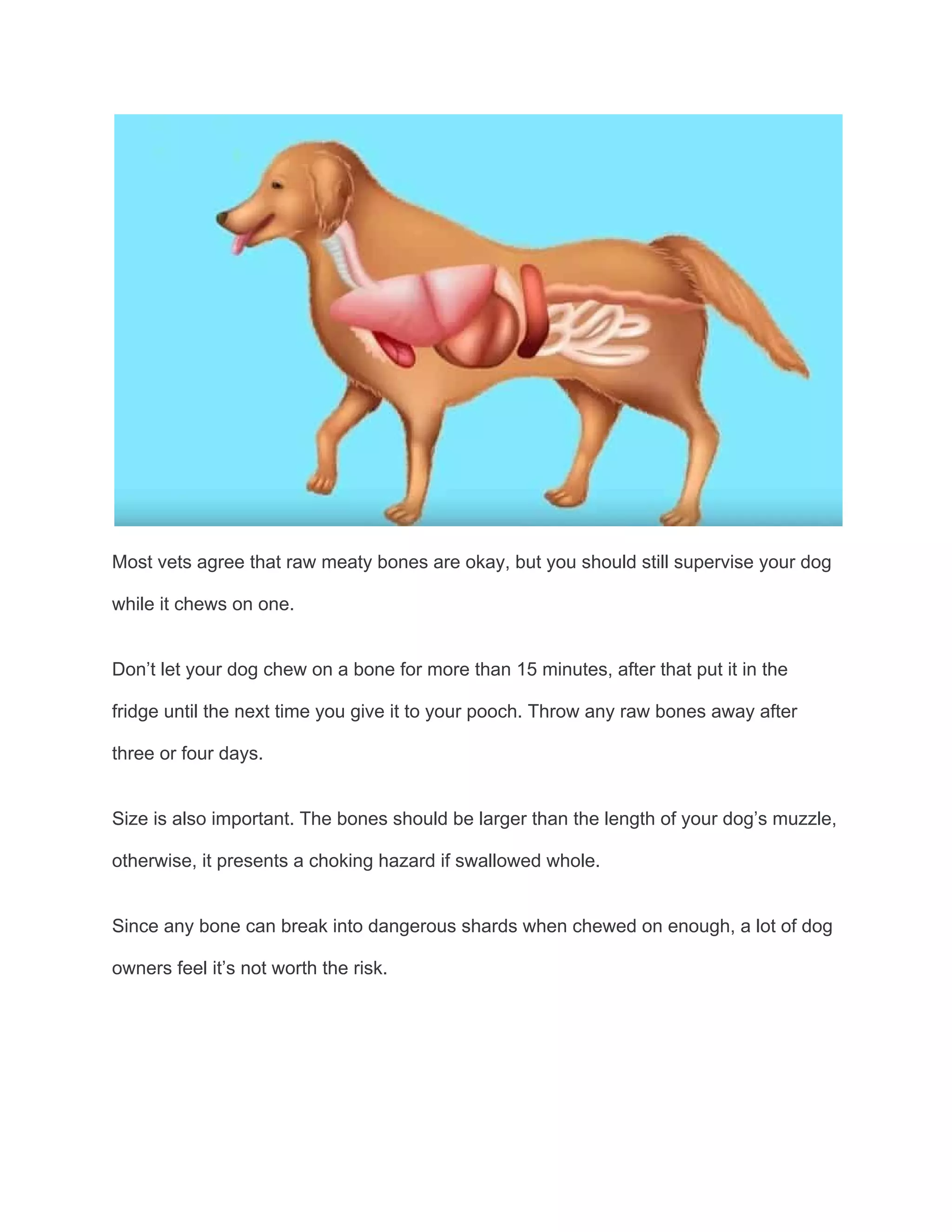 Are Bones Easily Digested By A Shih Tzu