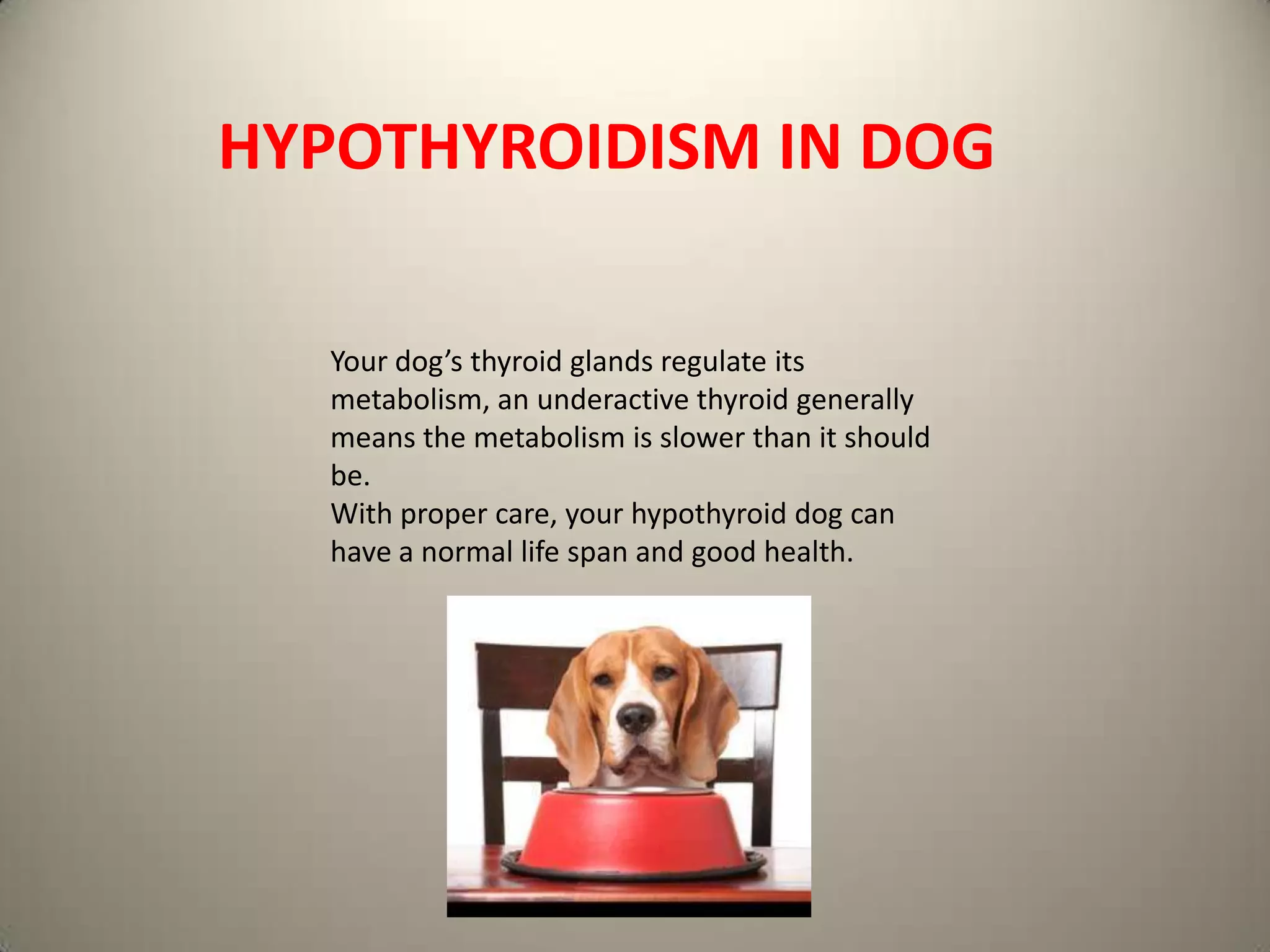 HOW TO CURE HYPOTHYROIDISM | PPTX