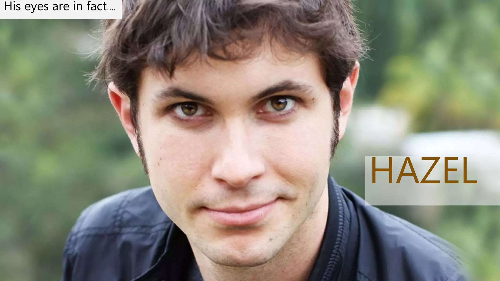 What color are Toby Turner’s (Tobuscus) eyes | PPT