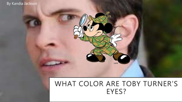 What color are Toby Turner’s (Tobuscus) eyes | PPT