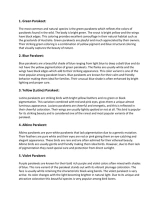 What Color is Parakeet: Most 15 Famous Color Types of Parakeet | PDF