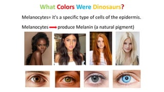 What Colors Were Dinosaurs.pptx | Chemistry | Science
