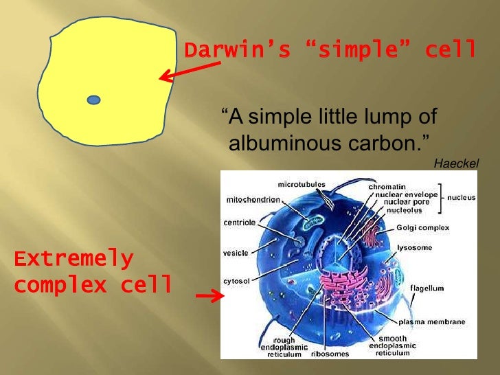 What Darwin Didn't Know