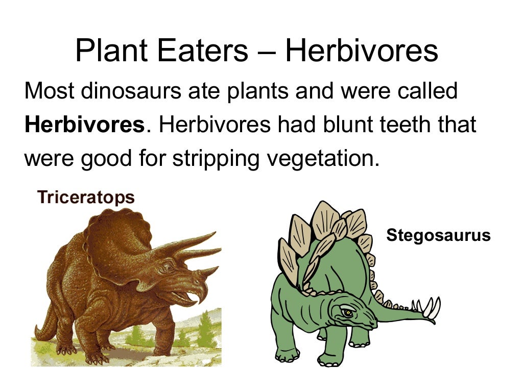 What did dinosaurs eat powerpoint