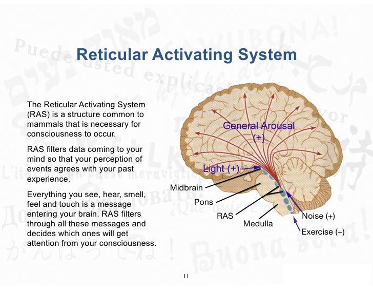 What did you say? A tutorial on intercultural communication