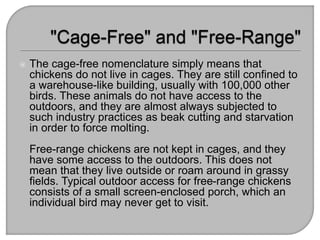 What Do "Cage-Free" and "Free-Range" Egg Labels Mean? | PPTX