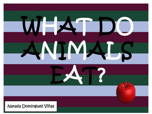 What do animals eat | PPTX