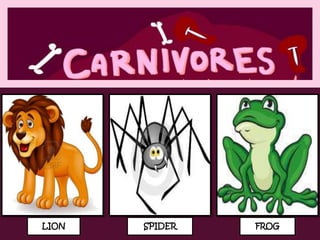 What do animals eat | PPTX