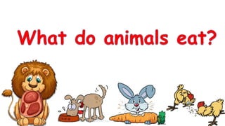 What do animals eat NKP level | PPT