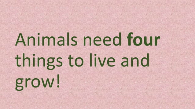 What do animals need to survive | PPTX