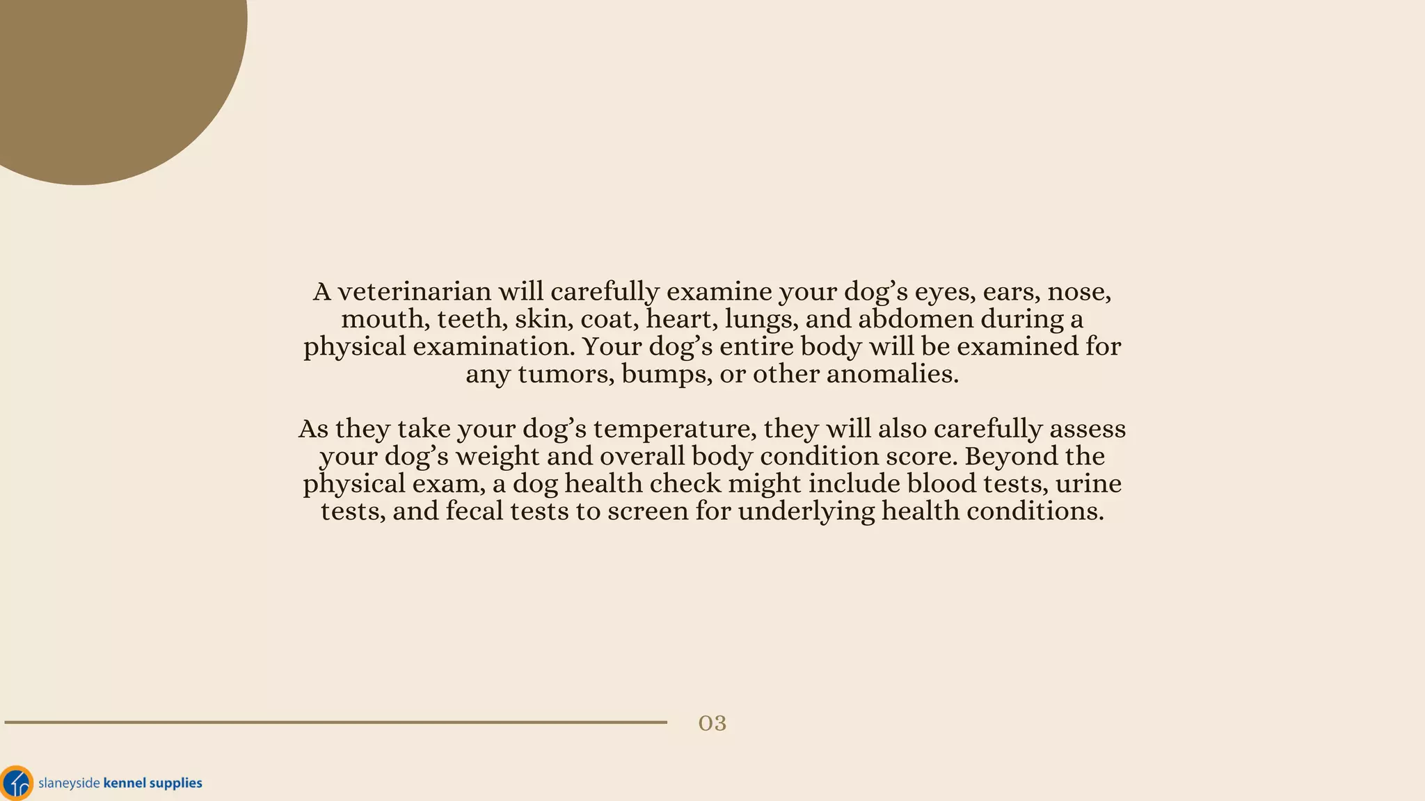 What Does a Dog Health Check Include A Comprehensive Guide - Slaneyside ...