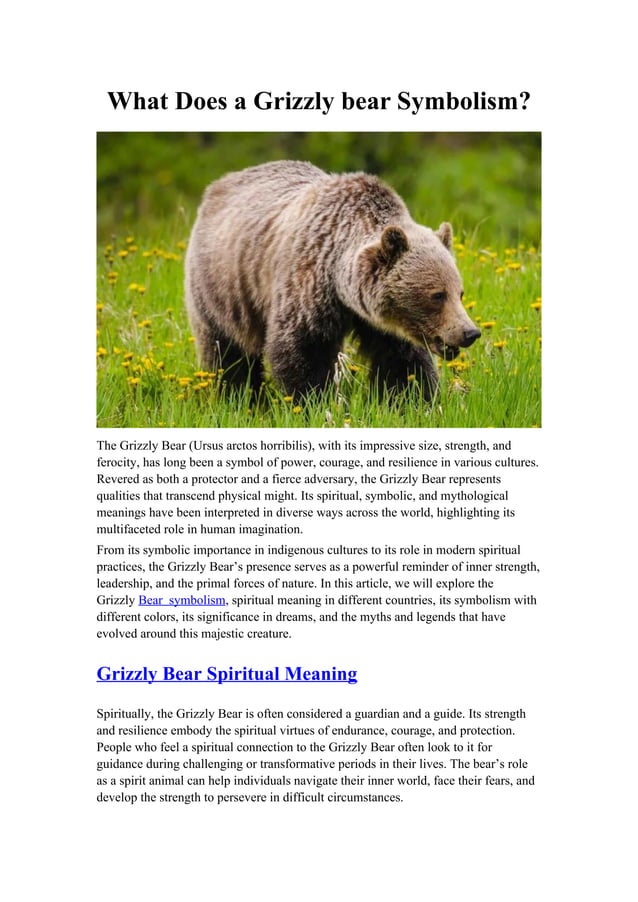 What Does a Grizzly bear Symbolism .docx