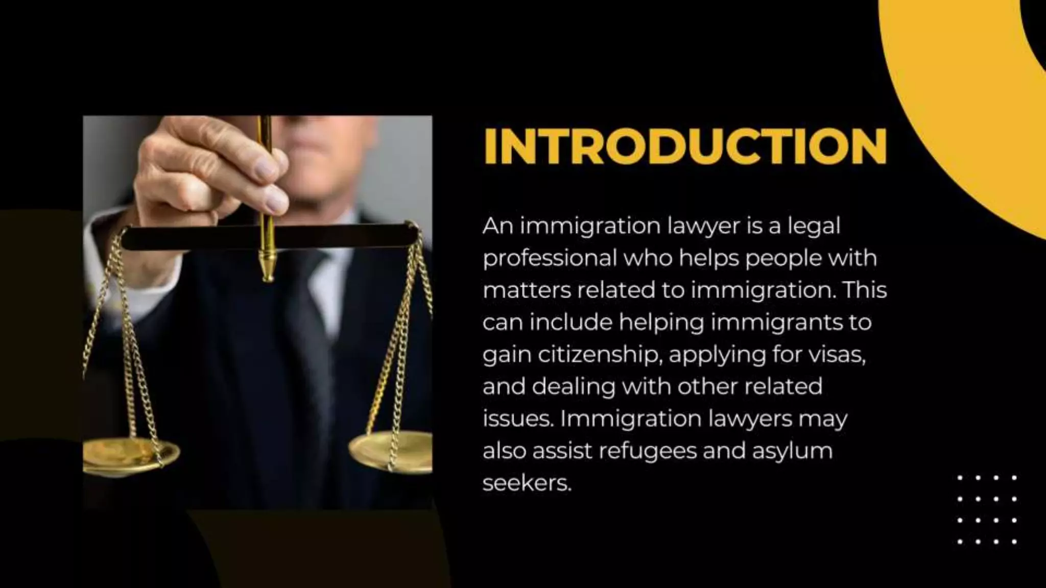 What does an immigration lawyer do.pptx