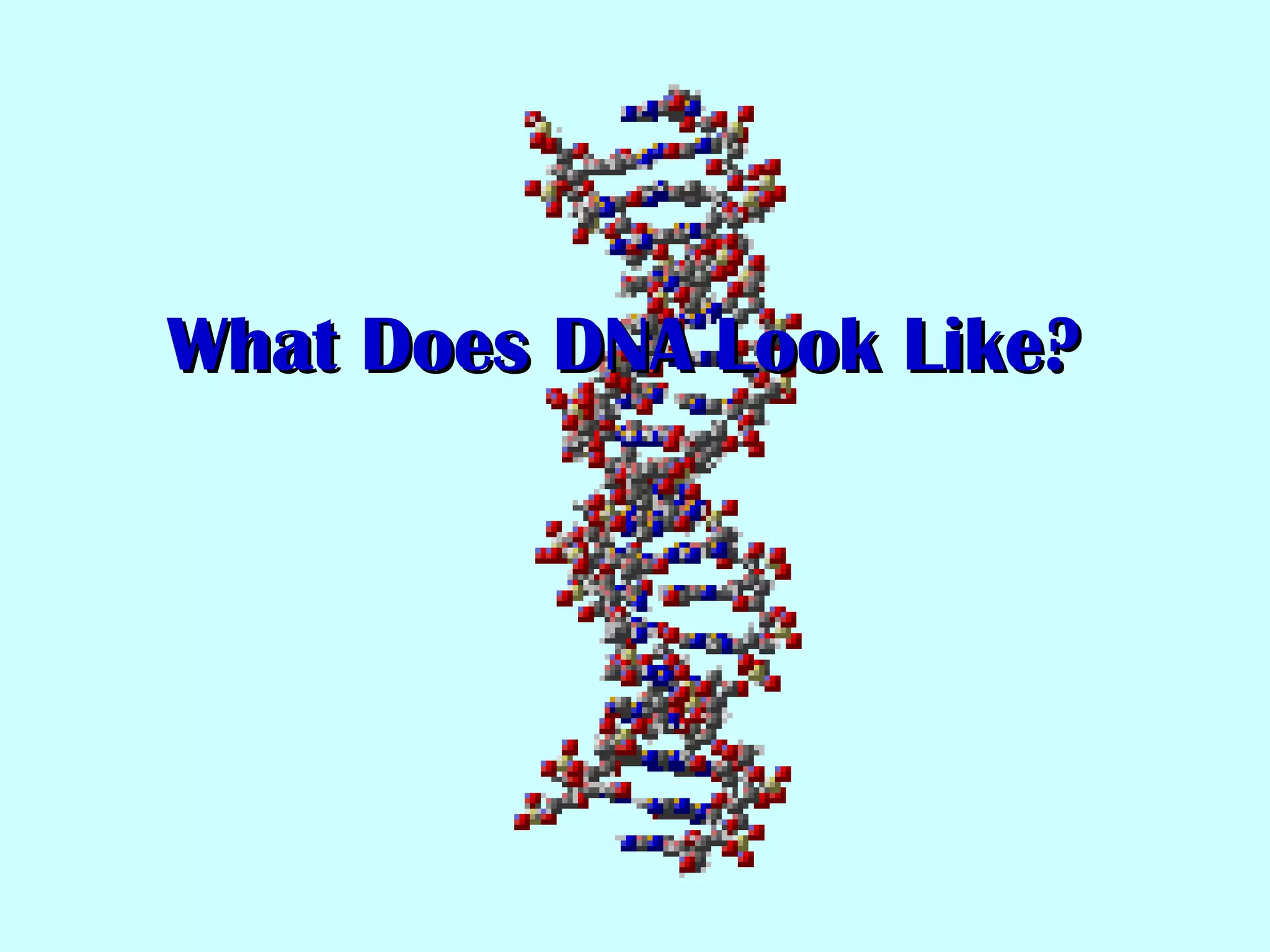What does dna look like | PPT