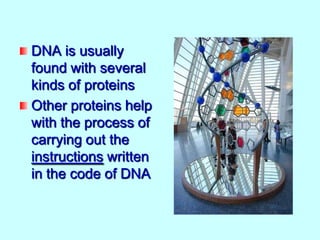 What does DNA look like? Notes | PPTX | Chemistry | Science
