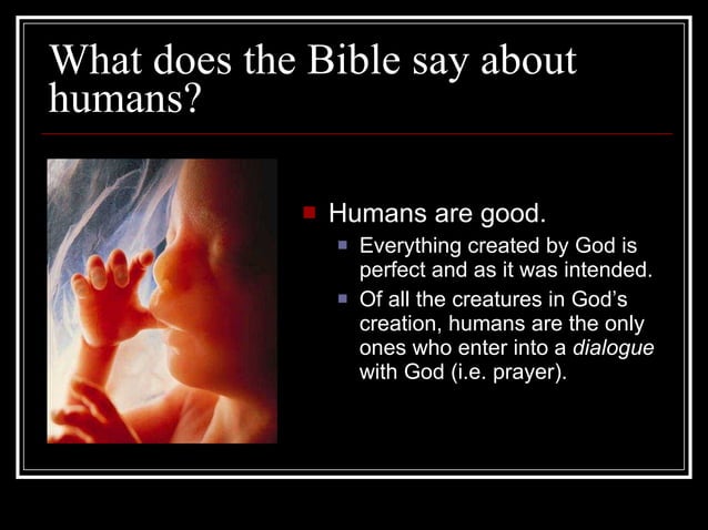 What does it mean to be human? | PPT