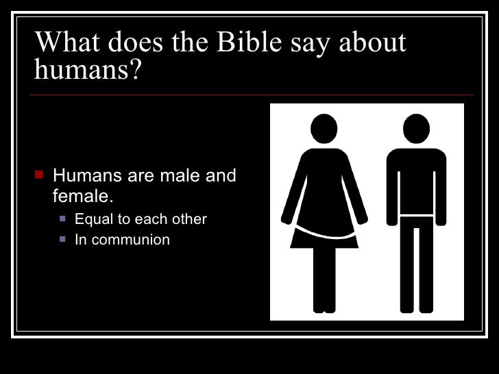 What does it mean to be human?