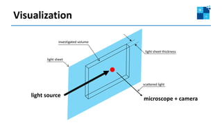 Accurately Measure Concentration of Nanoparticles in Colloids | PPT