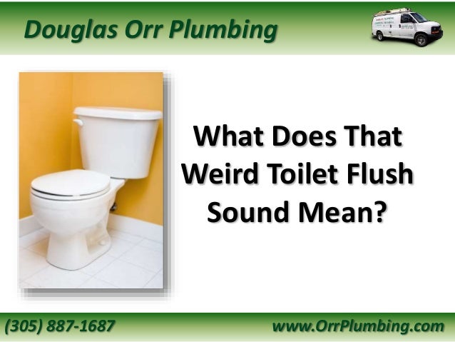 What Does Your Weird Toilet Flush Sound Mean? What Does Your Weird Toilet Flush Sound Mean?