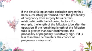 What Do I Need to Know About Conceiving After Blocked Fallopian Tubes ...