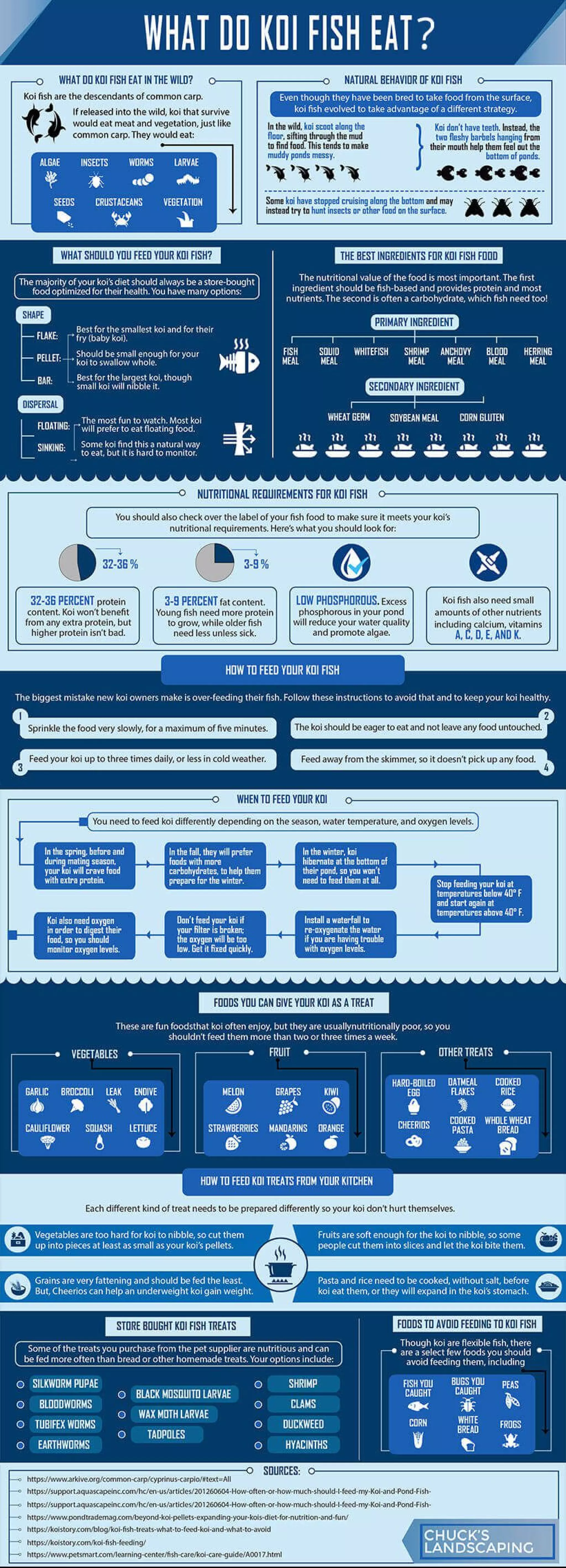 What do koi fish eat? | PDF