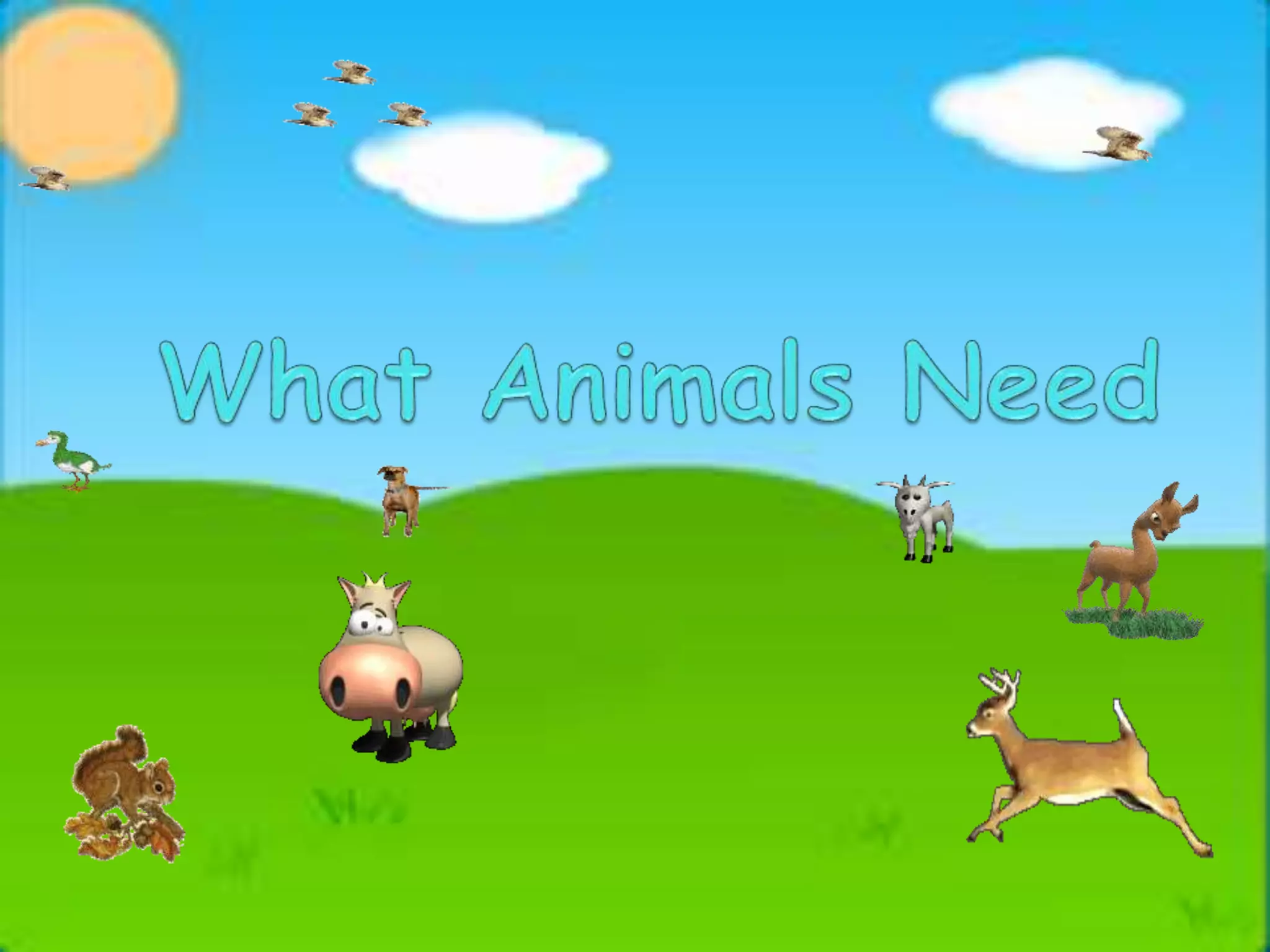 What do plants & animals need to live | PPTX
