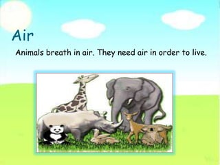 What do plants & animals need to live | PPTX