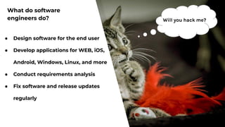 What do software engineers do | PDF