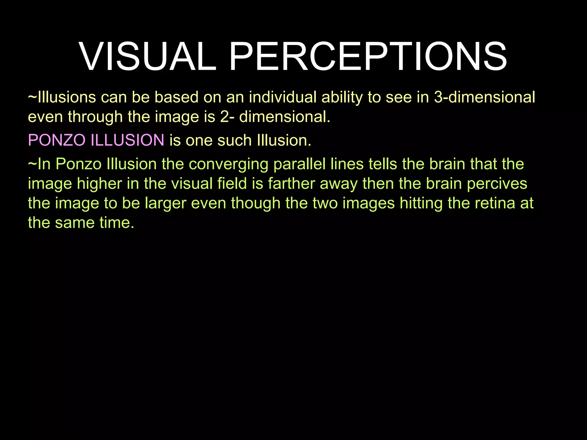 Optical Illusions | PPT