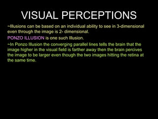 Optical Illusions | PPT