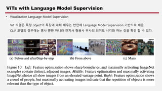 WHAT DO VISION TRANSFORMERS LEARN A VISUAL EXPLORATION.pdf