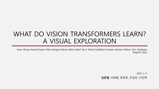 WHAT DO VISION TRANSFORMERS LEARN A VISUAL EXPLORATION.pdf