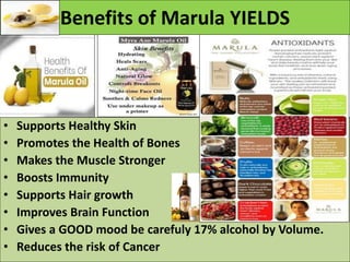WHAT DO WE KNOW ABOUT MARULA TREE AND.pdf
